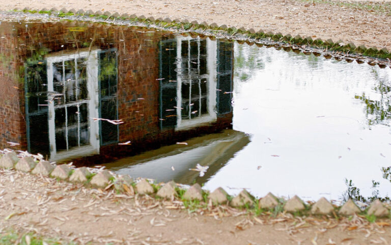 Understanding Stormwater Basins: What You Must Know